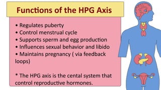 HYPOTHALAMIC-PITUITARY-GONADAL-HPG-AXIS-1.pptx