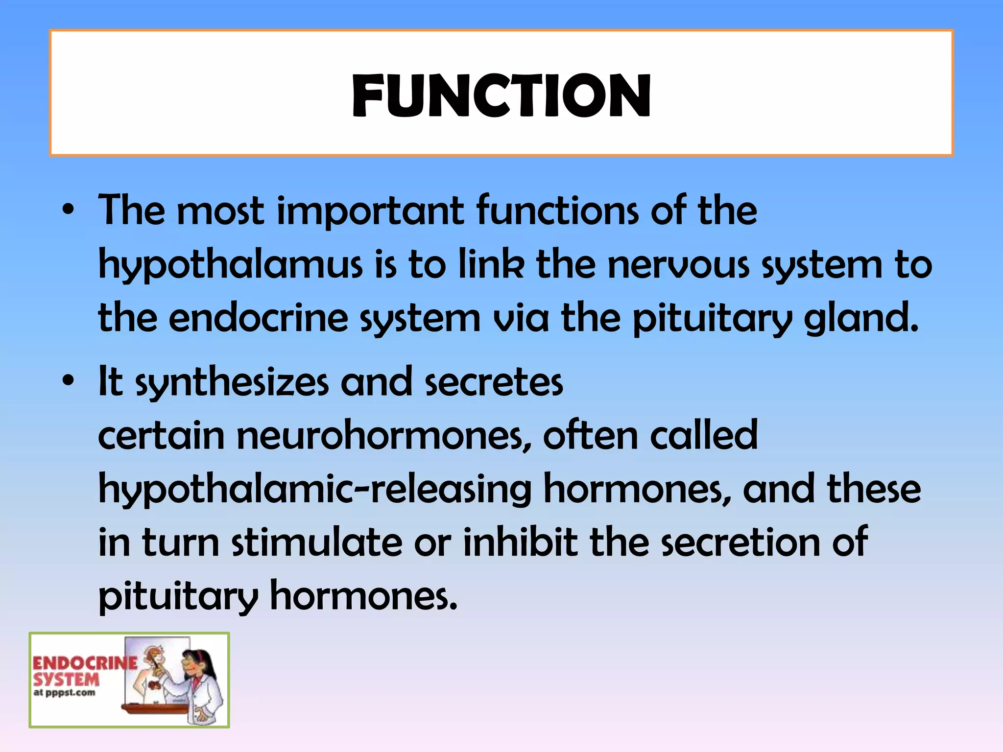 hypothalamus-121023052119-phpapp01.pdf
