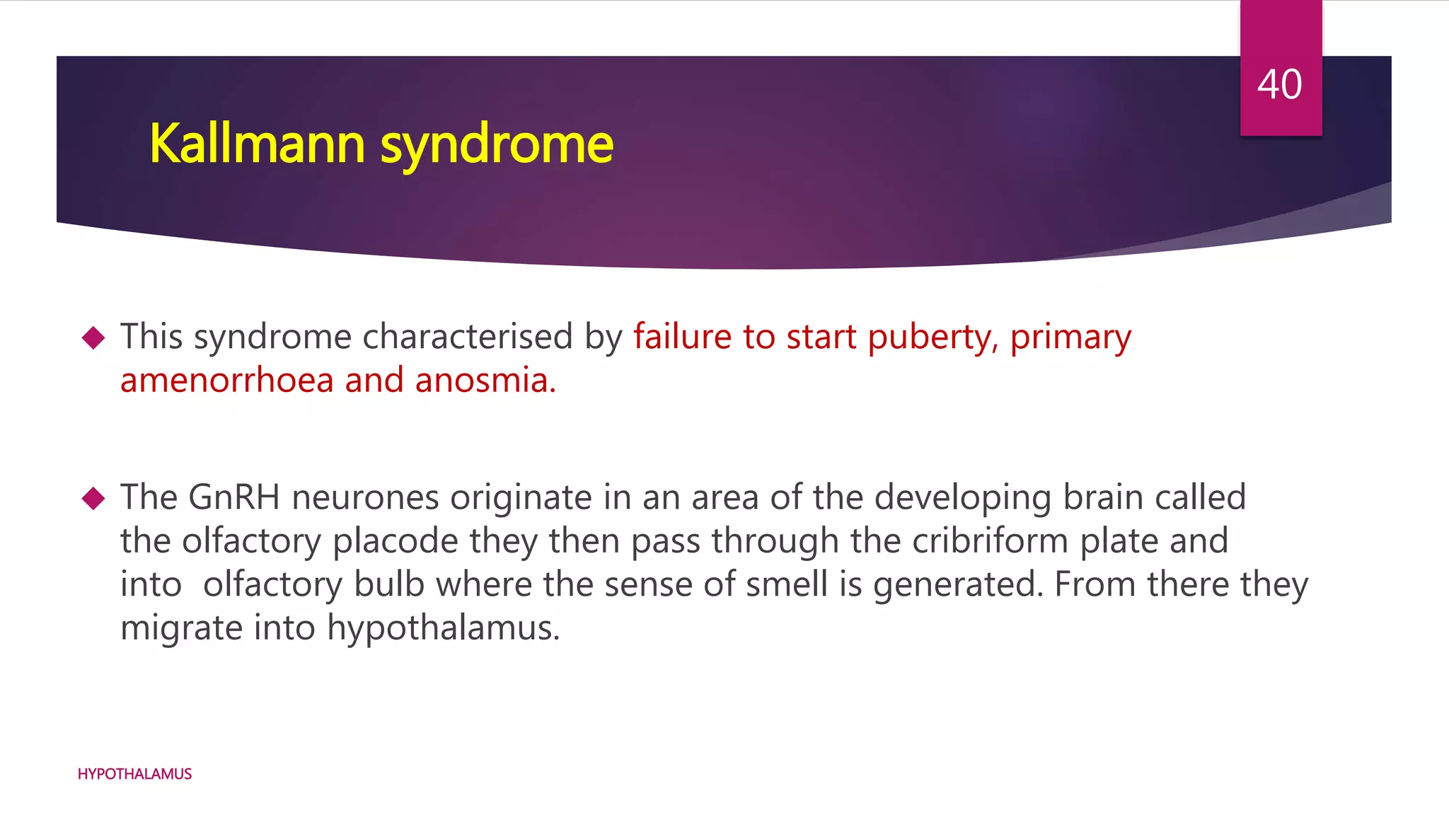 Hypothalamus | PPTX