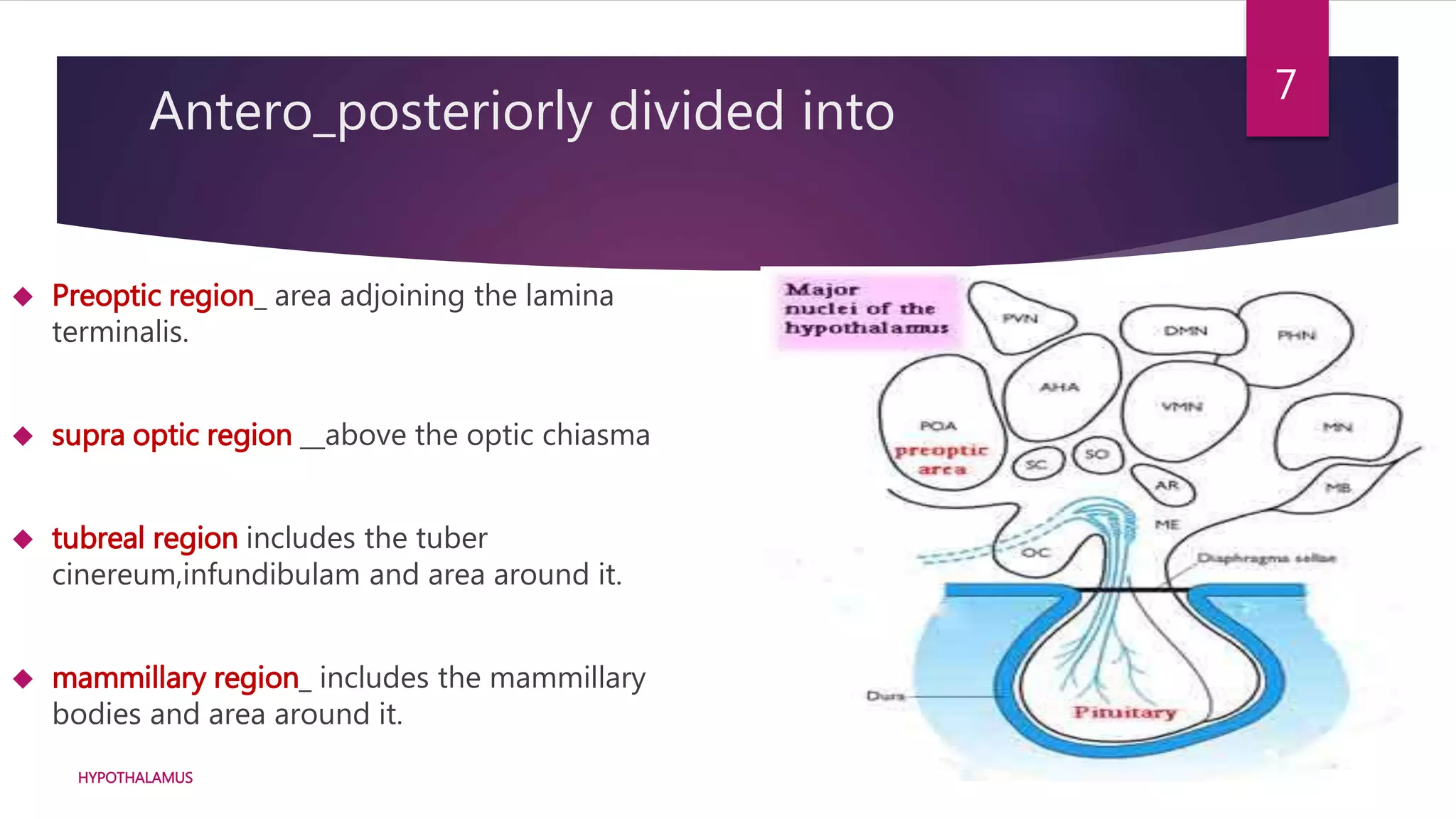 Hypothalamus | PPTX