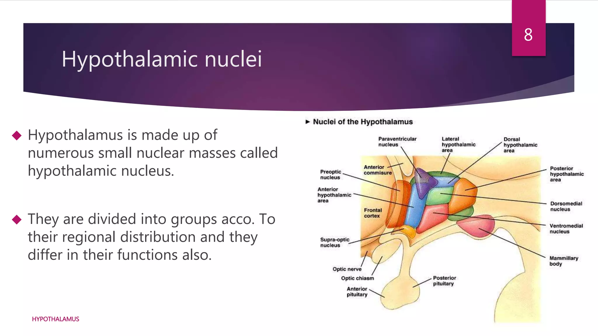 Hypothalamus | PPTX