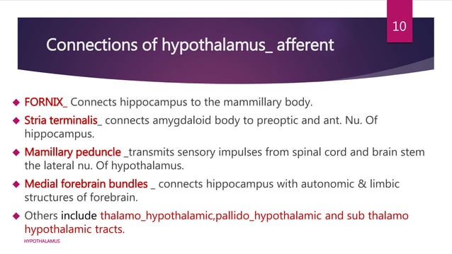 Hypothalamus | PPTX | Endocrine and Metabolic Diseases | Diseases and ...