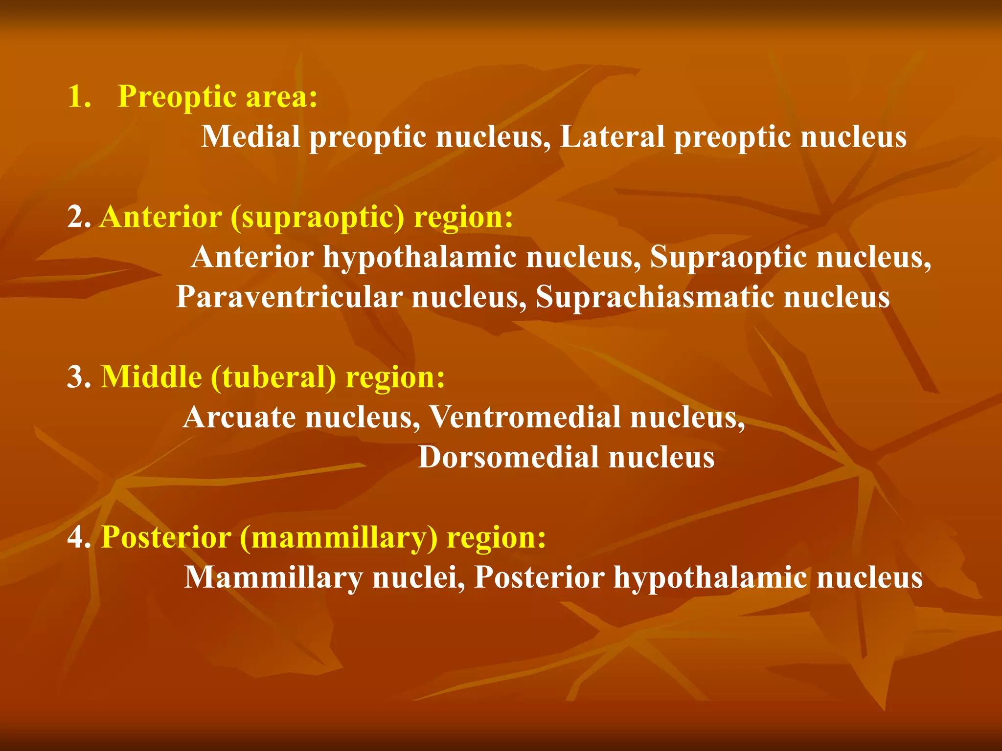 Hypothalamus | PDF