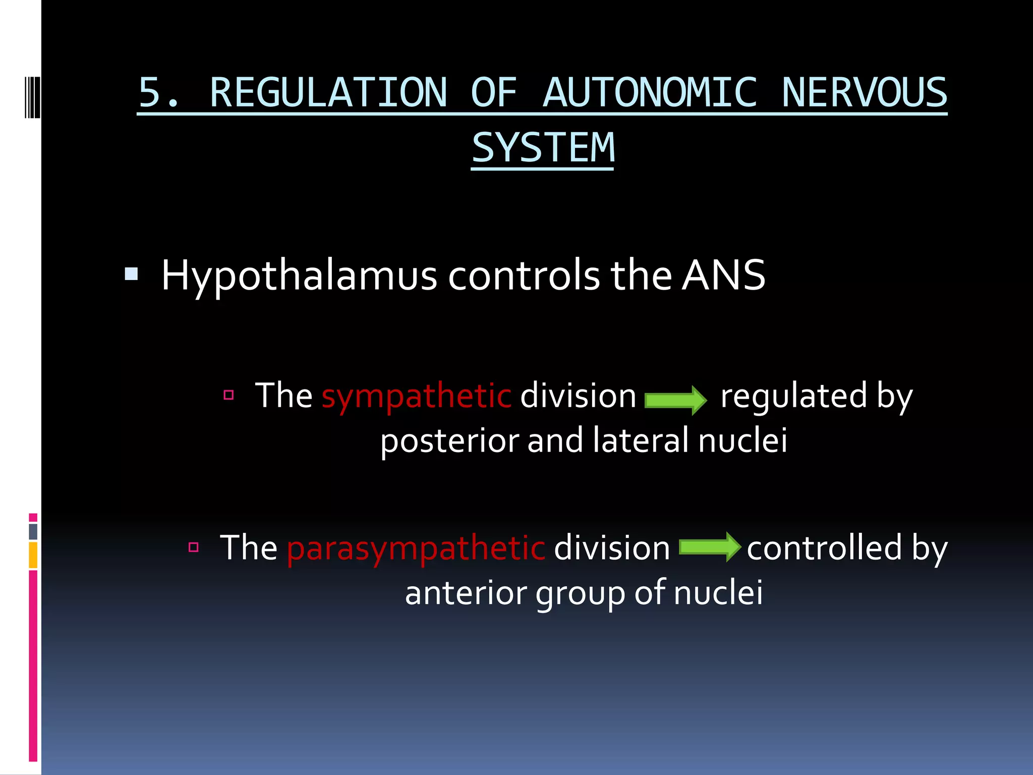 Hypothalamus | PPTX