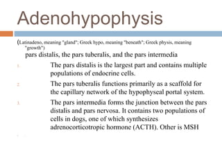 Hypothalamus control pitutary glands | PPTX