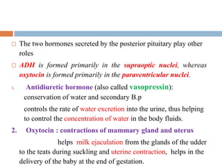 Hypothalamus control pitutary glands | PPTX