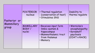 Hypothalamus | PPTX