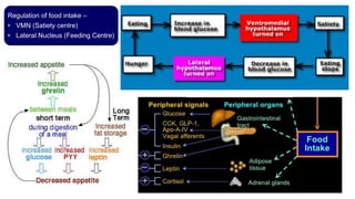 Hypothalamus | PPTX