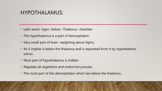 Hypothalamus | PPTX