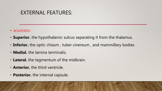 Hypothalamus | PPTX
