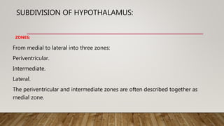 Hypothalamus | PPTX