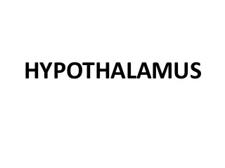 Hypothalamus.pptx