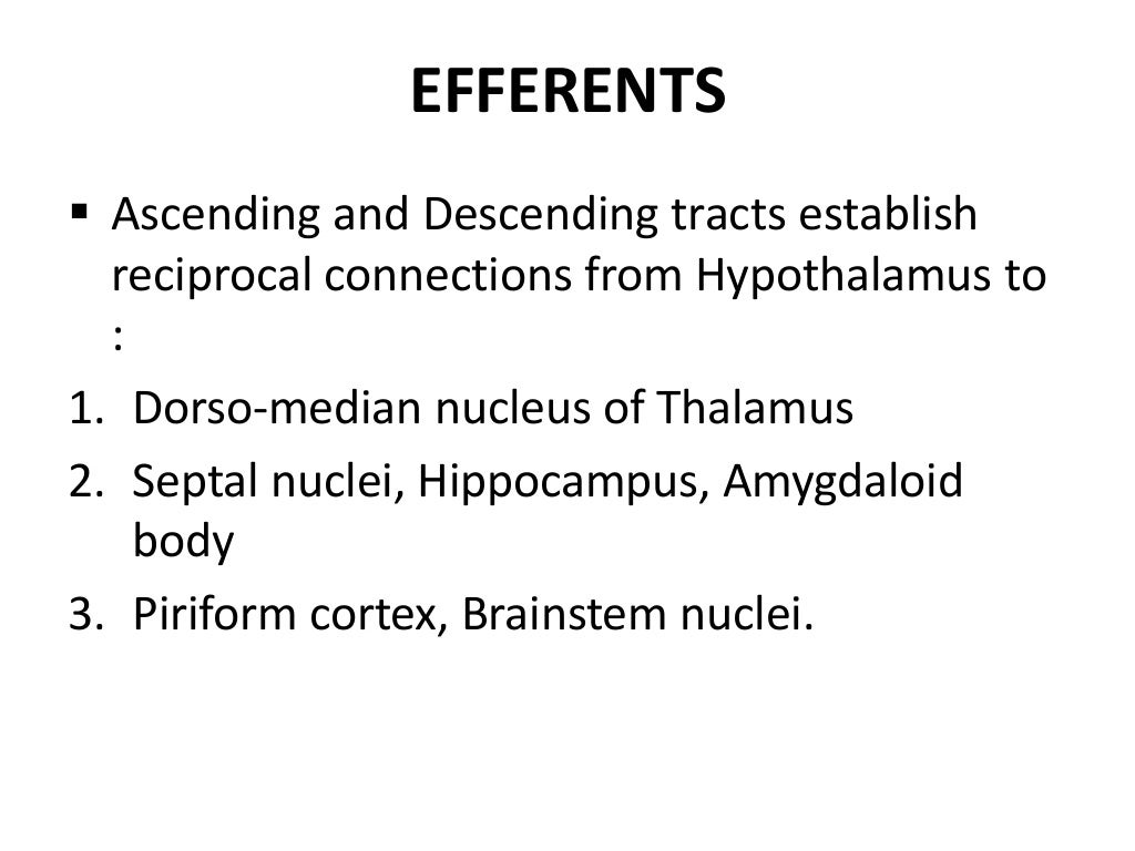 Hypothalamus.pptx