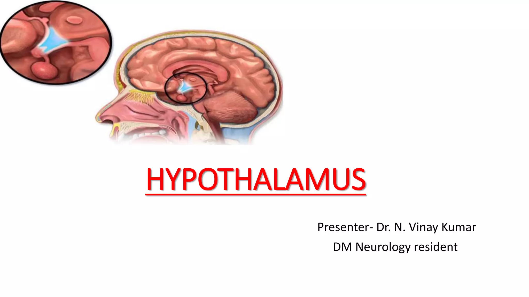 HYPOTHALAMUS.pptx