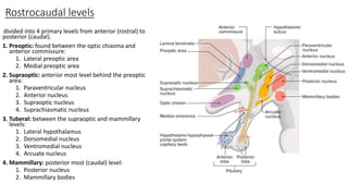 HYPOTHALAMUS.pptx