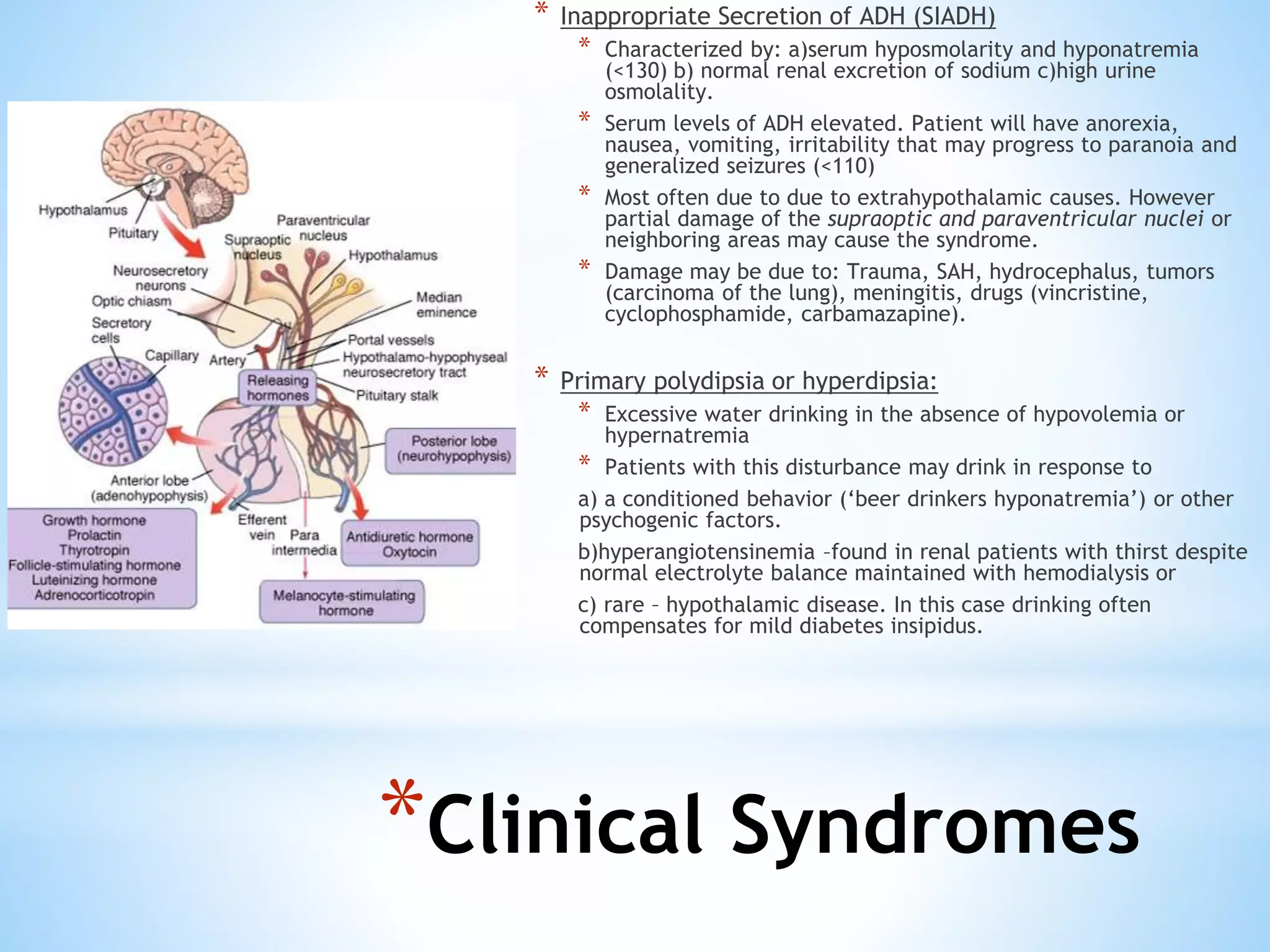 Hypothalamus.pptx