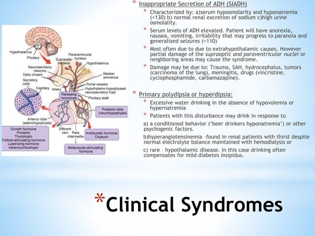 Hypothalamus.pptx