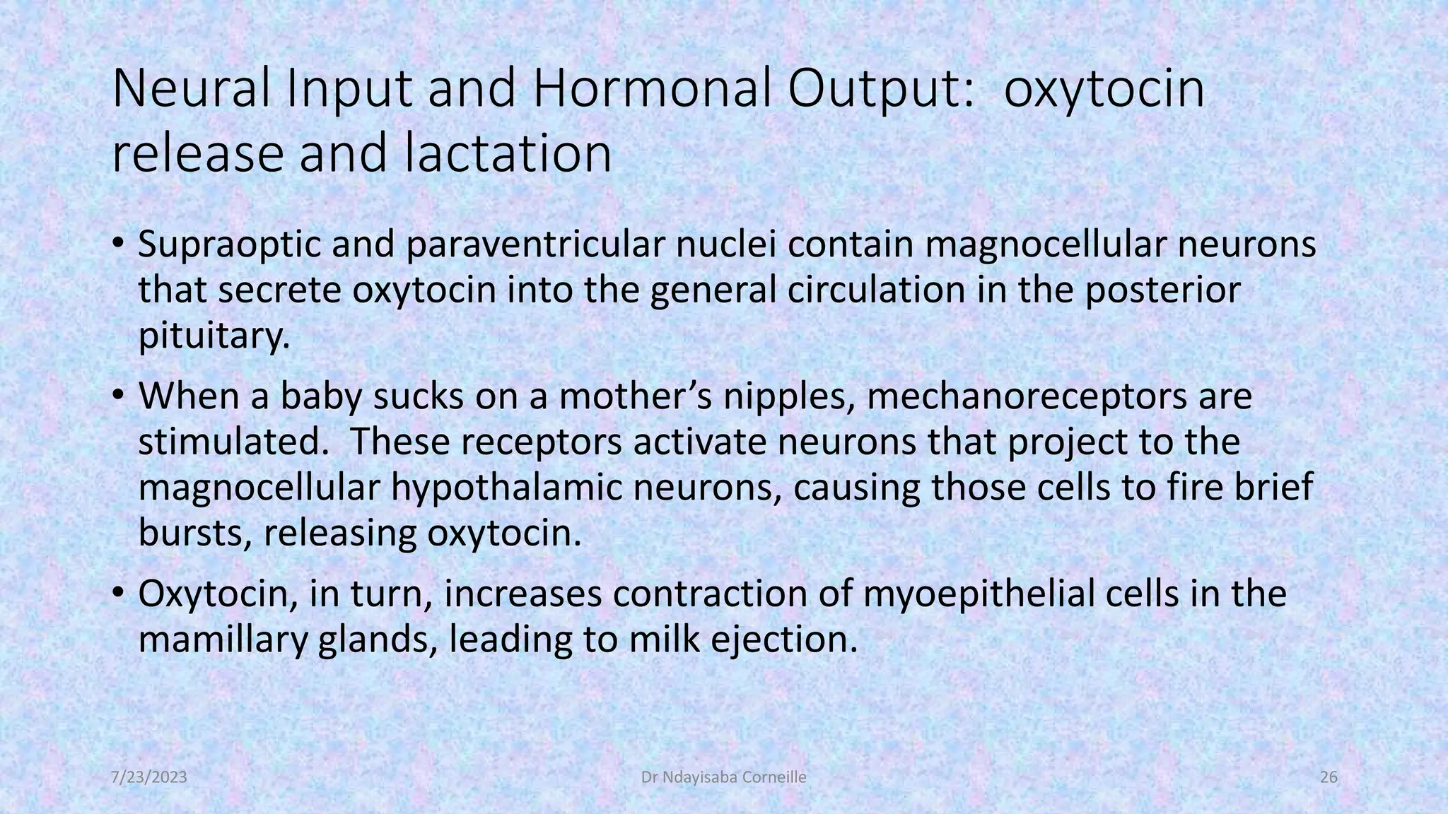 ANATOMY and PHYSIOLOGY _OF _HYPOTHALAMUS | PDF