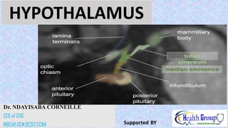 ANATOMY and PHYSIOLOGY _OF _HYPOTHALAMUS | PDF