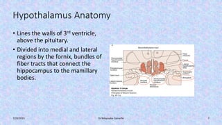 ANATOMY and PHYSIOLOGY _OF _HYPOTHALAMUS | PDF