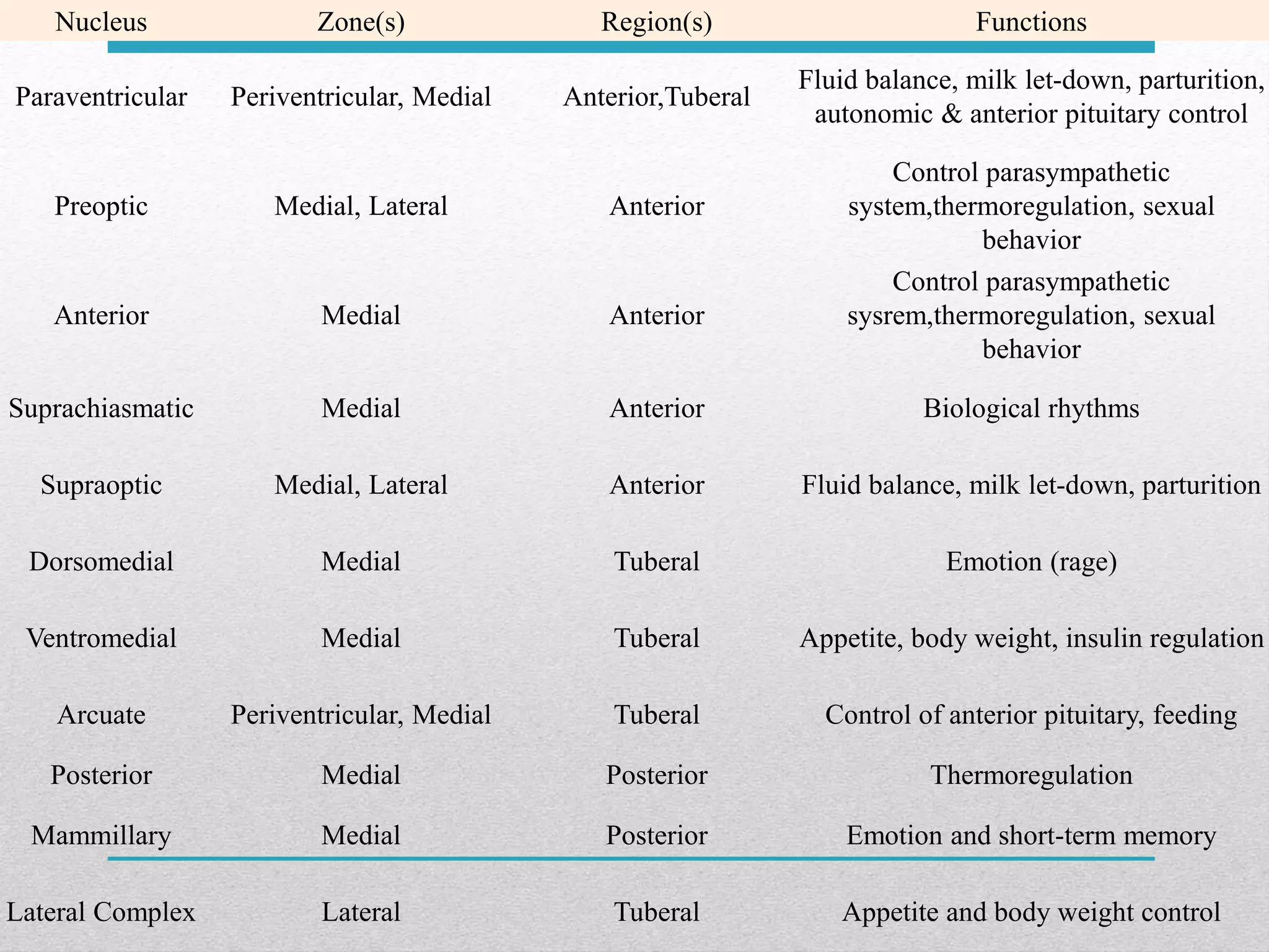 Disorder of Hypothalamus | PPTX