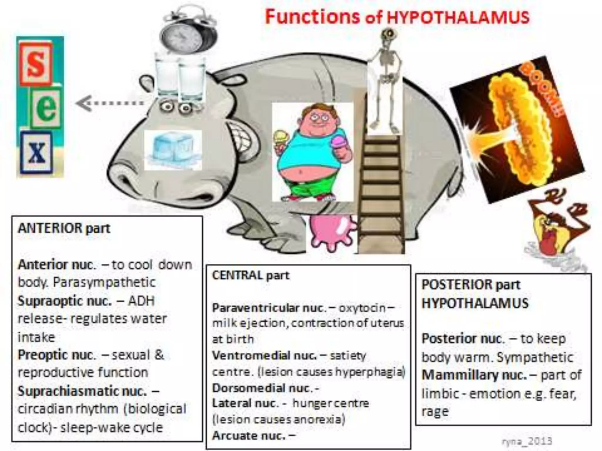Disorder of Hypothalamus | PPTX