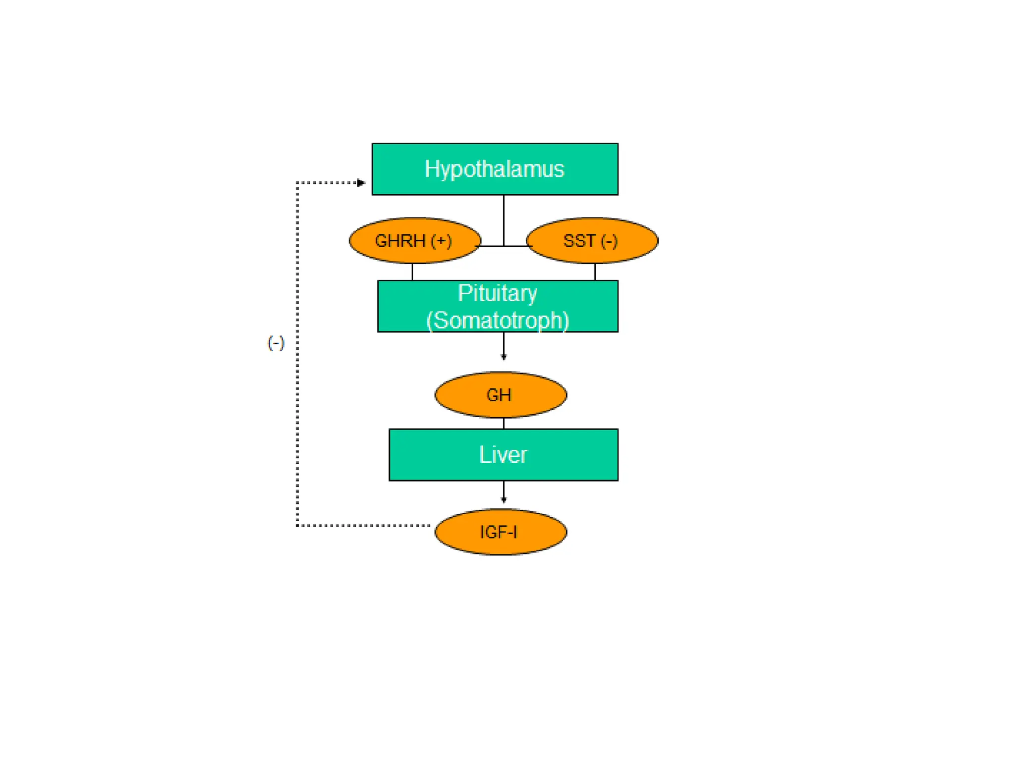 hypothalamus-and-pituitary-hormones.pptx