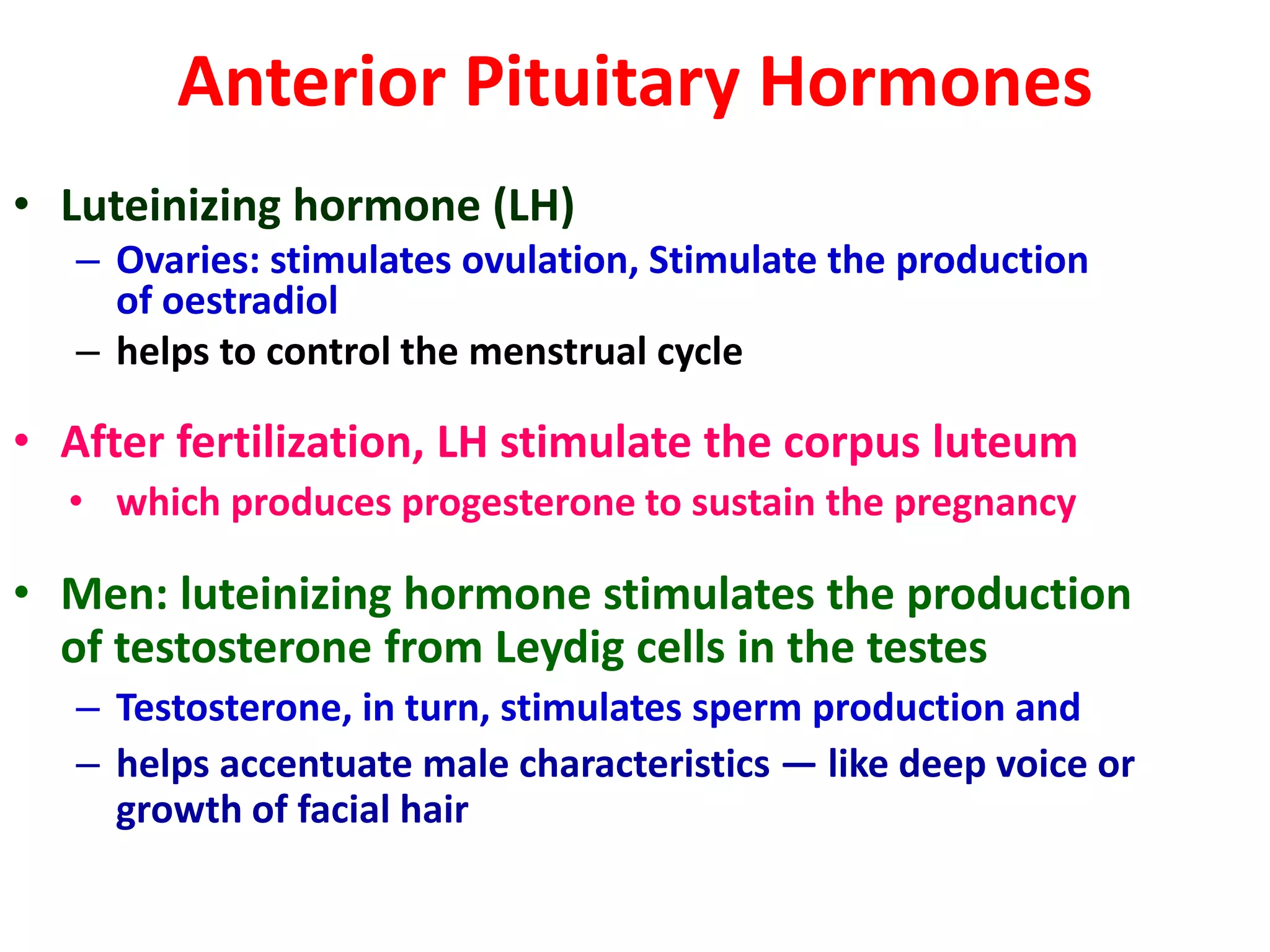 Hypothalamus pituitary-thyroid | PPTX