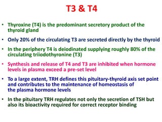Hypothalamus pituitary-thyroid | PPTX | Thyroid Disorders | Endocrine ...