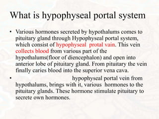 Hypothalamus 1 | PPT