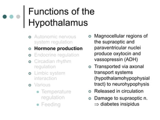 Hypothalamus.ppt