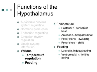 Hypothalamus.ppt