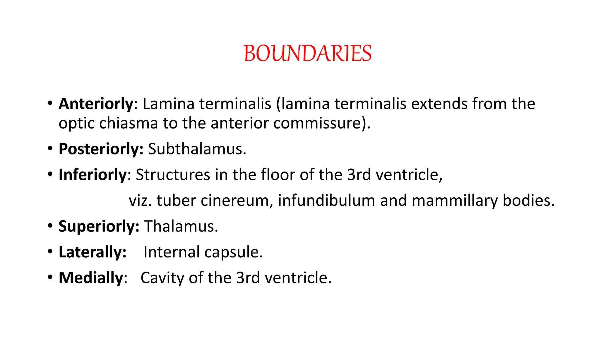 HYPOTHALAMUS ANATOMY.pptx