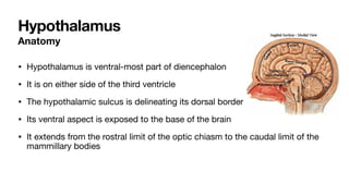 Hypothalamus and pituitary gland | PPT