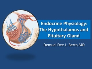 Hypothalamus And Pituitary Gland Slide