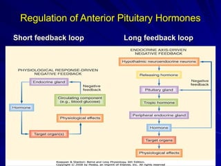 Hypothalamus and Pituitary MBBS II 2024.ppt