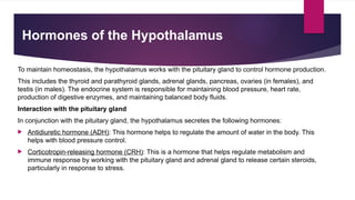 Hypothalamus short ppt by Dr. Neha [PT].pptx