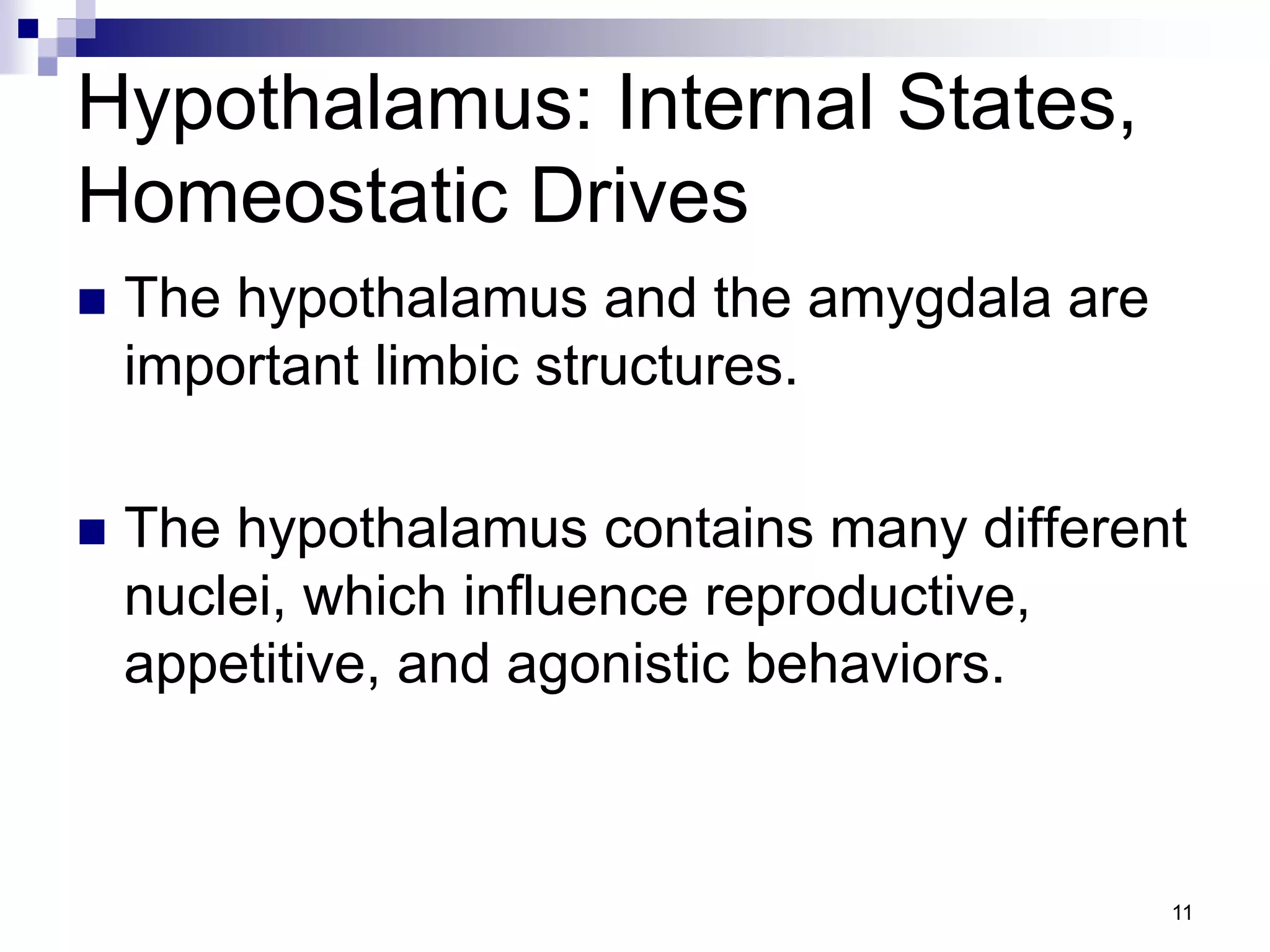 Hypothalamus & Emotionality.pptx
