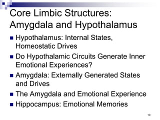 Hypothalamus & Emotionality.pptx