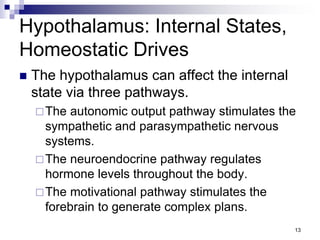 Hypothalamus & Emotionality.pptx