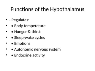 Hypothalamus_Presentationnnnnnn_for_Nursing_Students.pptx