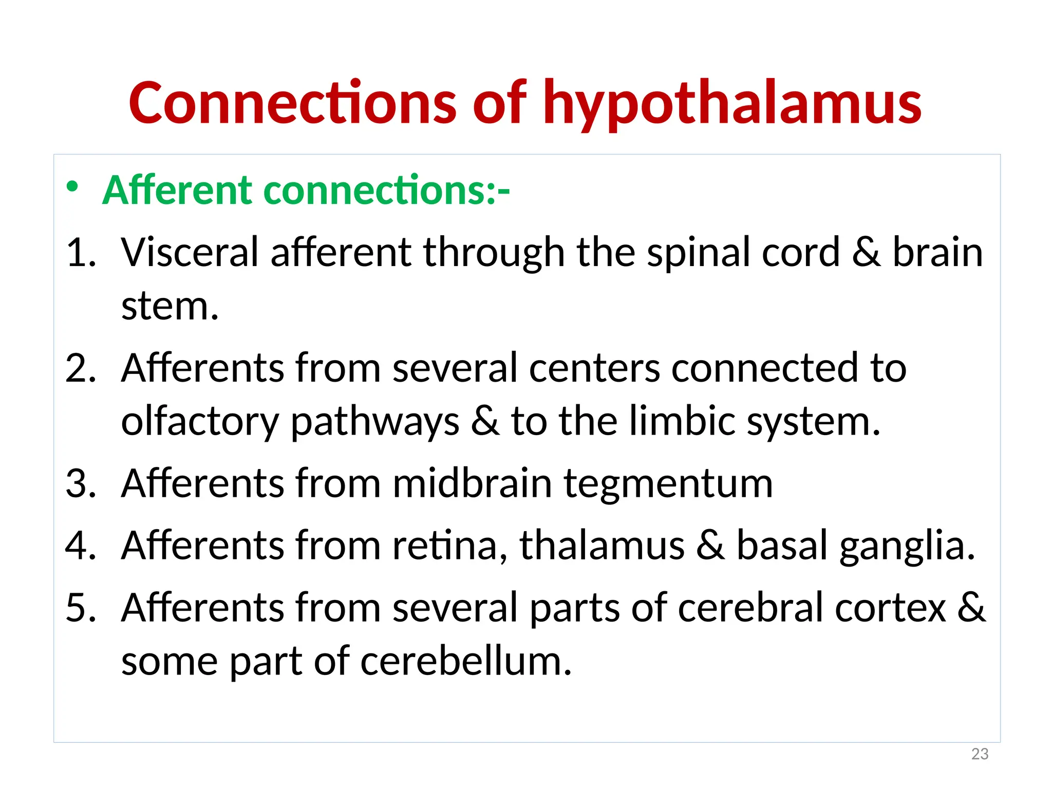 hypothalamus hypothalamus hypothalamus hypothalamus | PPTX
