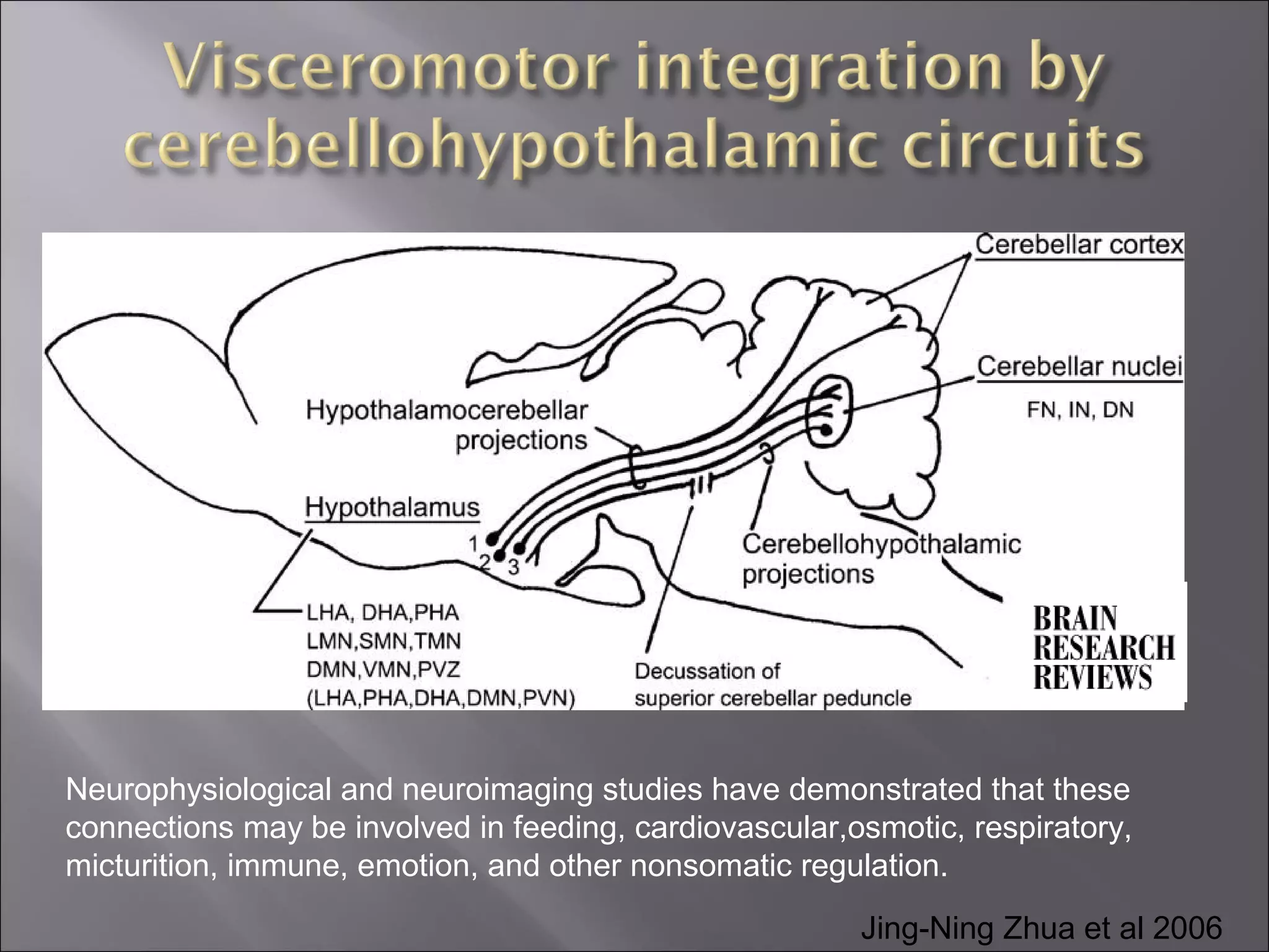 Hypothalamic regulation of visceral and brain functions | PPT