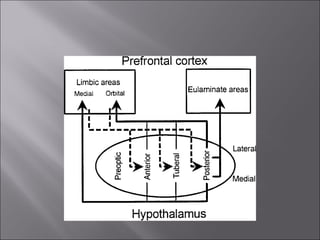 Hypothalamic regulation of visceral and brain functions | PPT