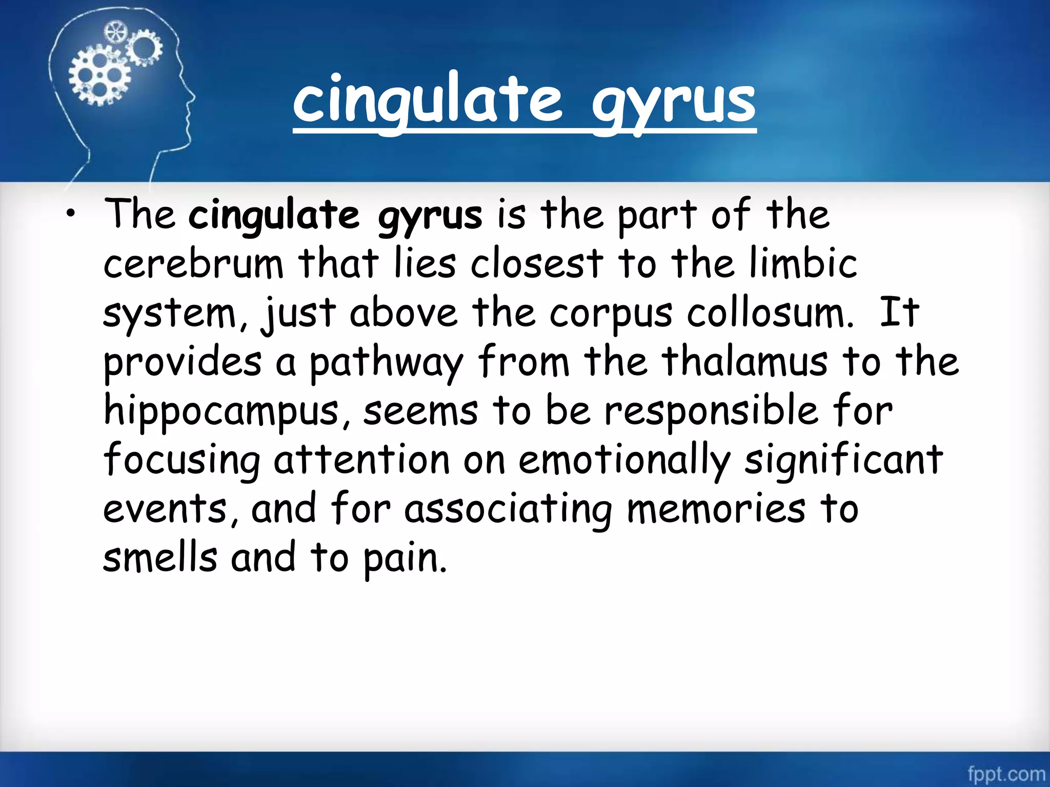 Hypothalaums & limbic system | PPT