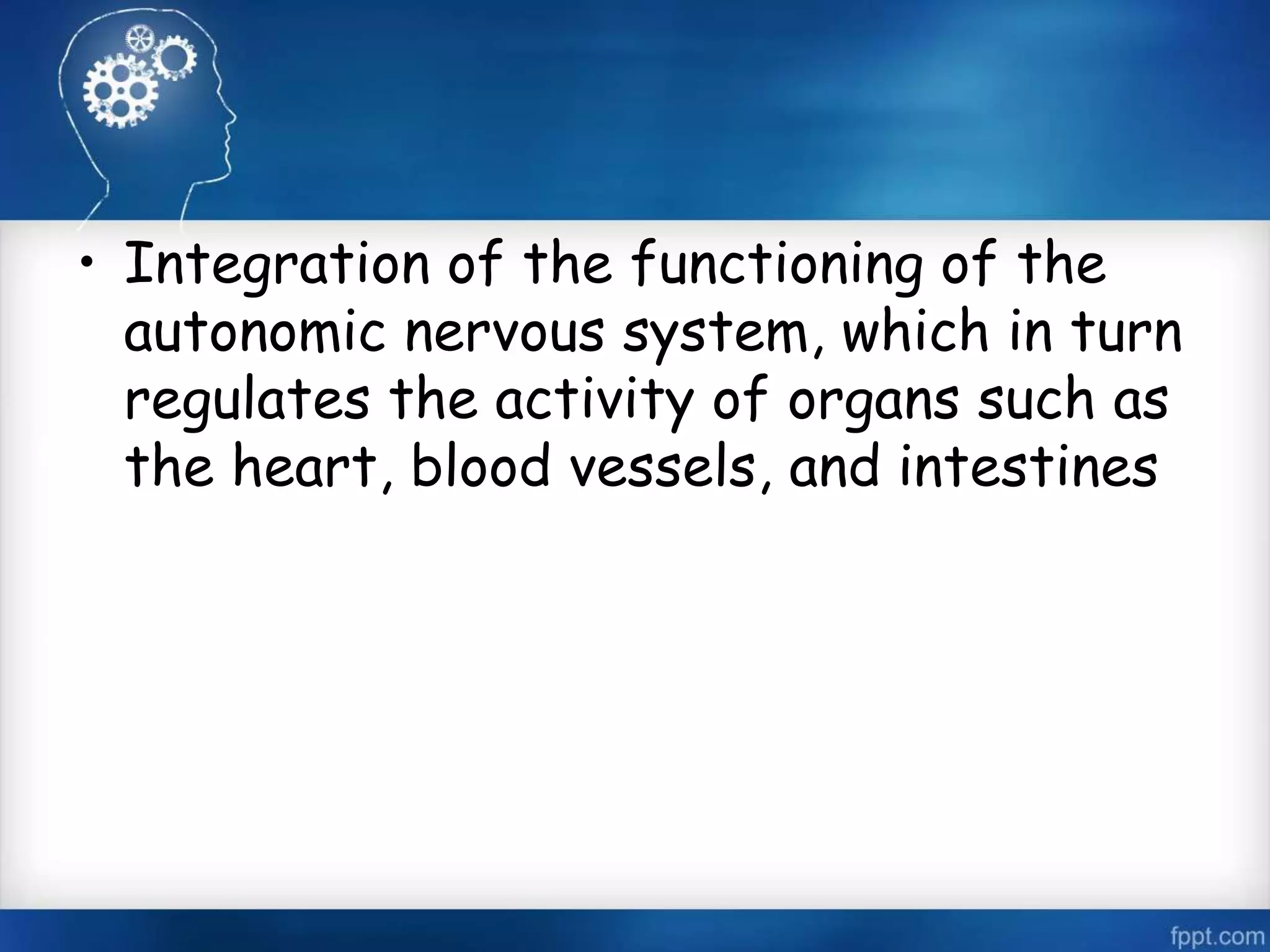 Hypothalaums & limbic system | PPT