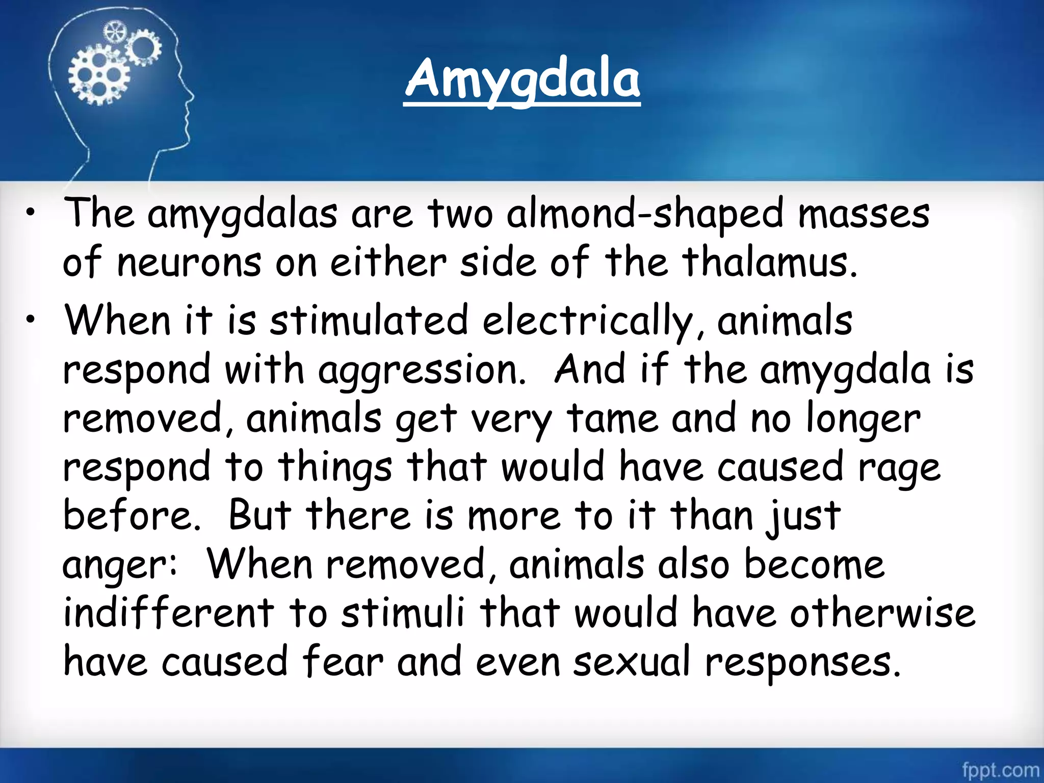Hypothalaums & limbic system | PPT