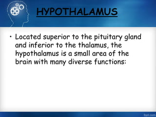 Hypothalaums & limbic system | PPT