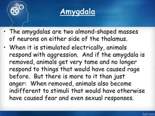 Hypothalaums & limbic system | PPT