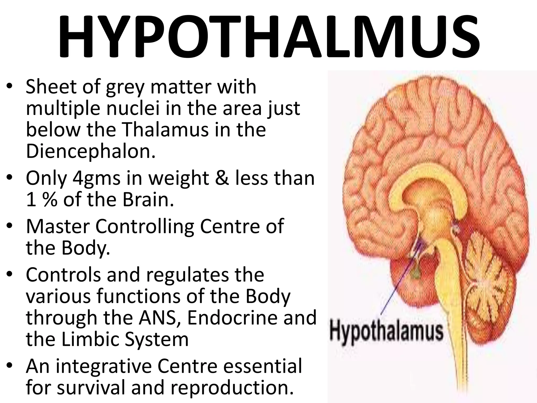 Hypothalmus,its nuclei, Connections& Clinical Correlates | PPTX